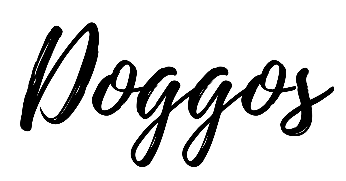 Fresh Dog Food & Instant Bone Broth | No-Freezer Needed | Doggos India